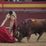 EntreToros • El sitio del aficionado taurino